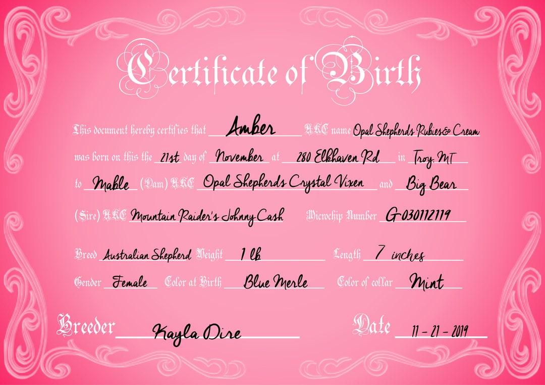 American Breeder Birth Certificates - Pink - Etsy
