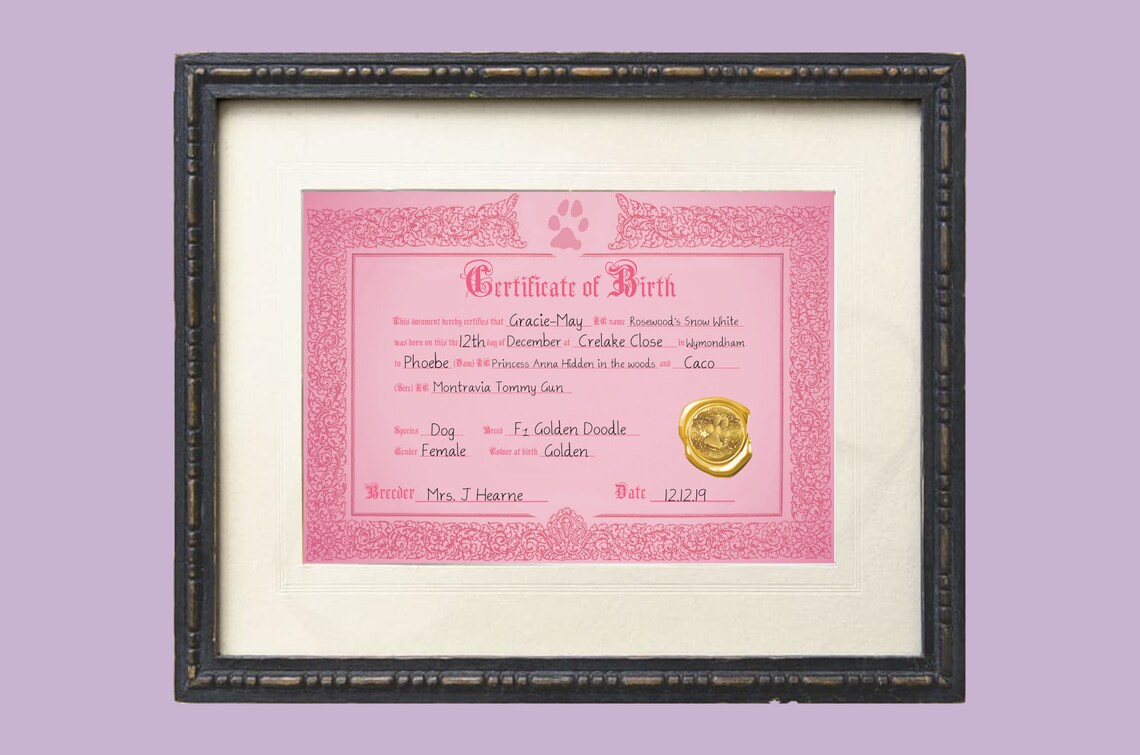 Puppy Birth Certificate (pink) - Etsy