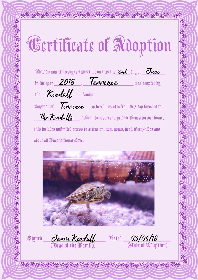 Reptile Family Adoption Certificate (purple) - Etsy