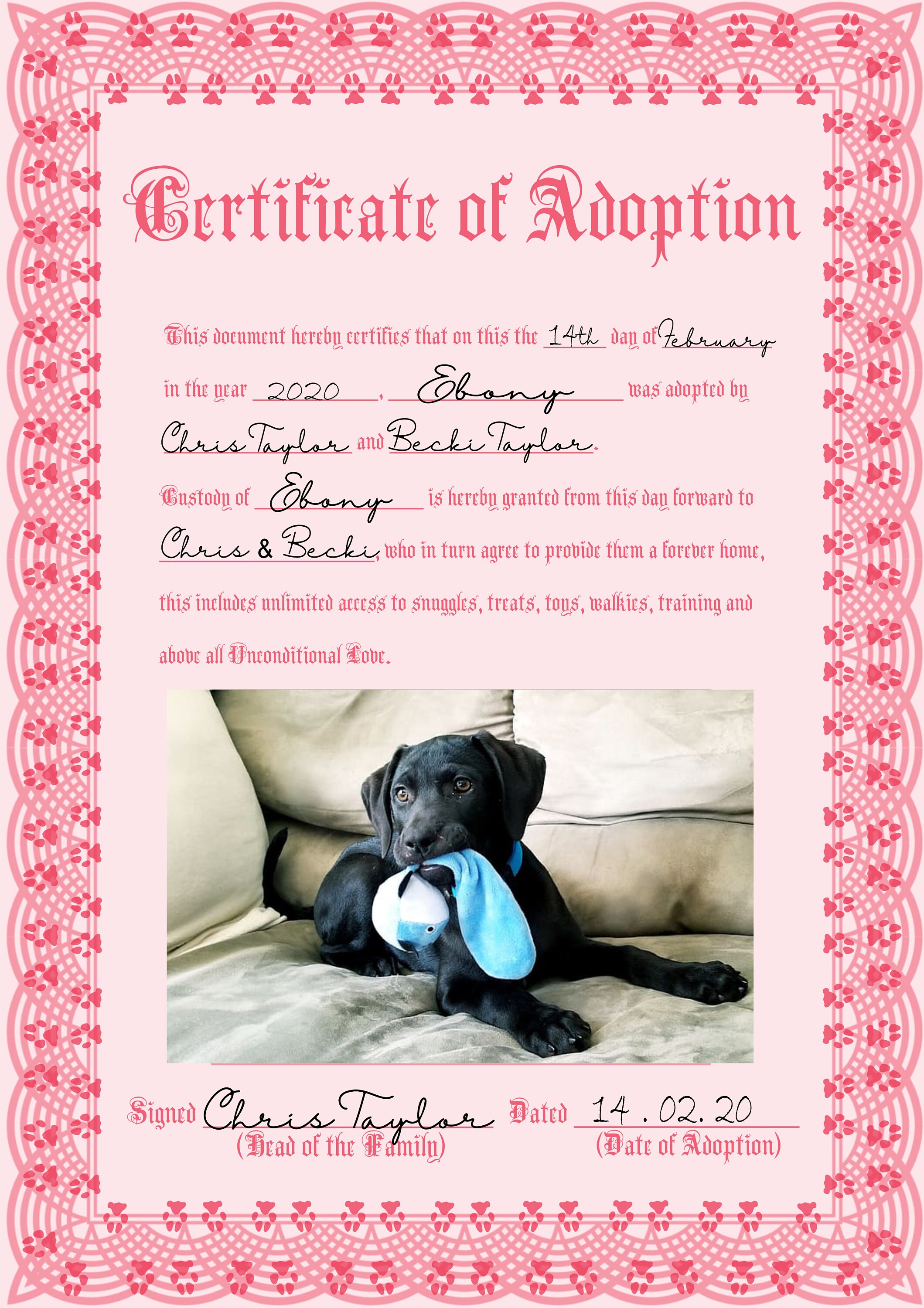 Puppy & Dog Family Adoption Certificate Pink | Etsy