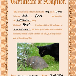 Reptile One Person Adoption Certificate orange - Etsy