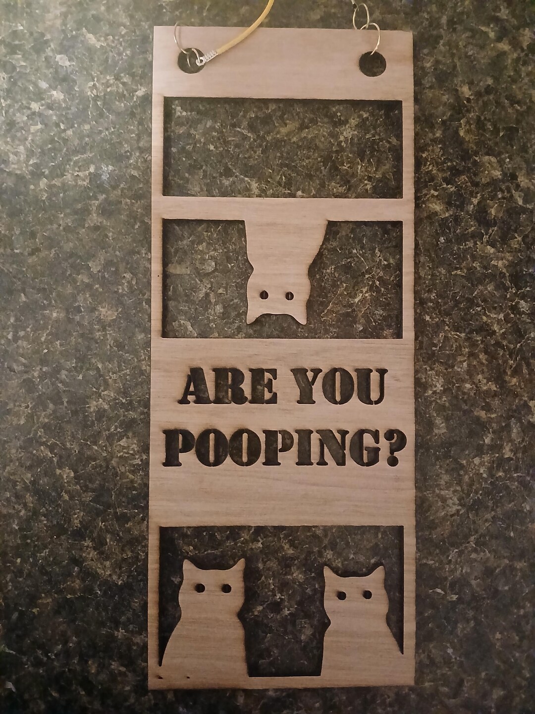 Lightburn Cut File are You Pooping Cat Door Hanger - Etsy