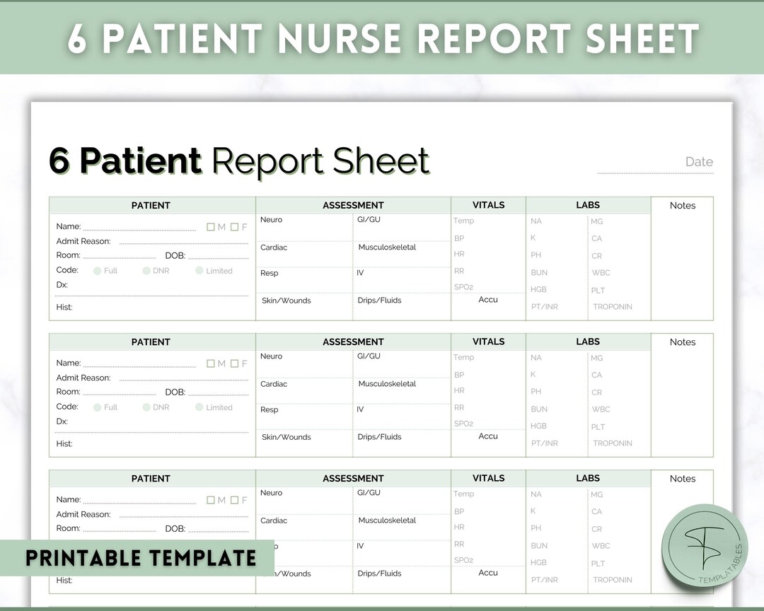 6 Patient Nurse Report Sheet, Nurse Brain Sheet, ICU Nurse Report, RN ...