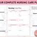 Nursing Care Plan Template, Printable Nursing Notes Assessment, Nursing ...