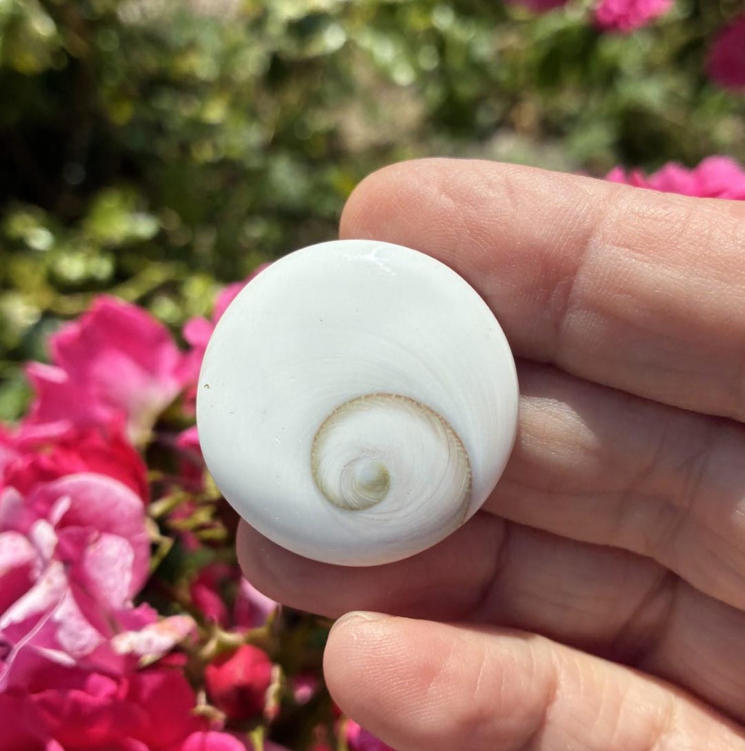 Saint Lucia's Eye Pebble Pocket Pebble 11.11 Grams - Etsy