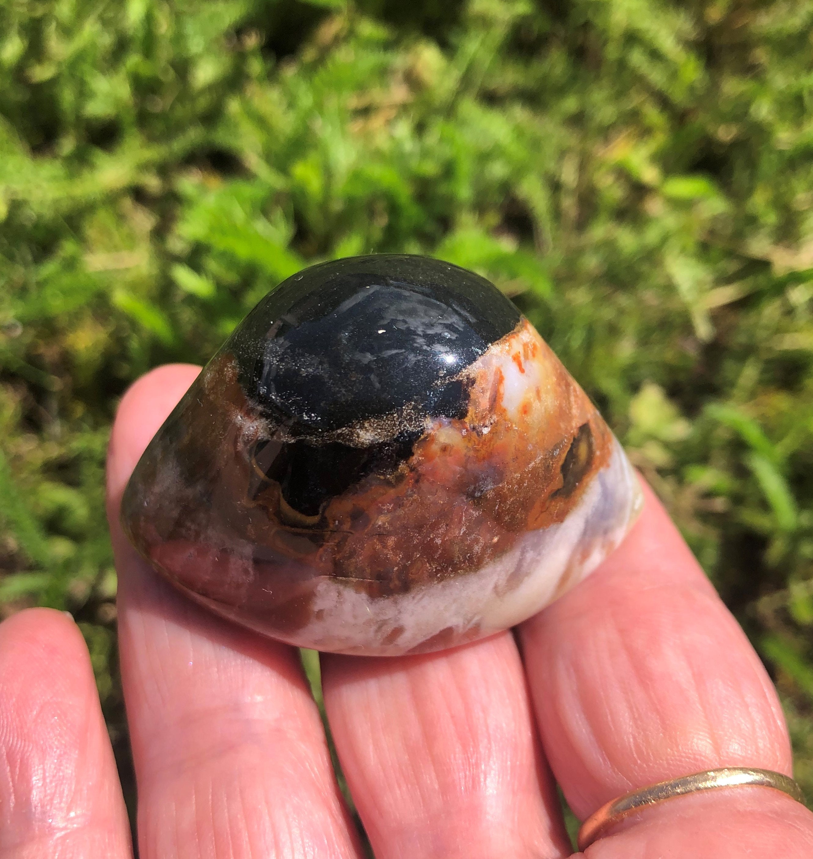 Cyclops Eye Pebble 64.19 Grams Etsy