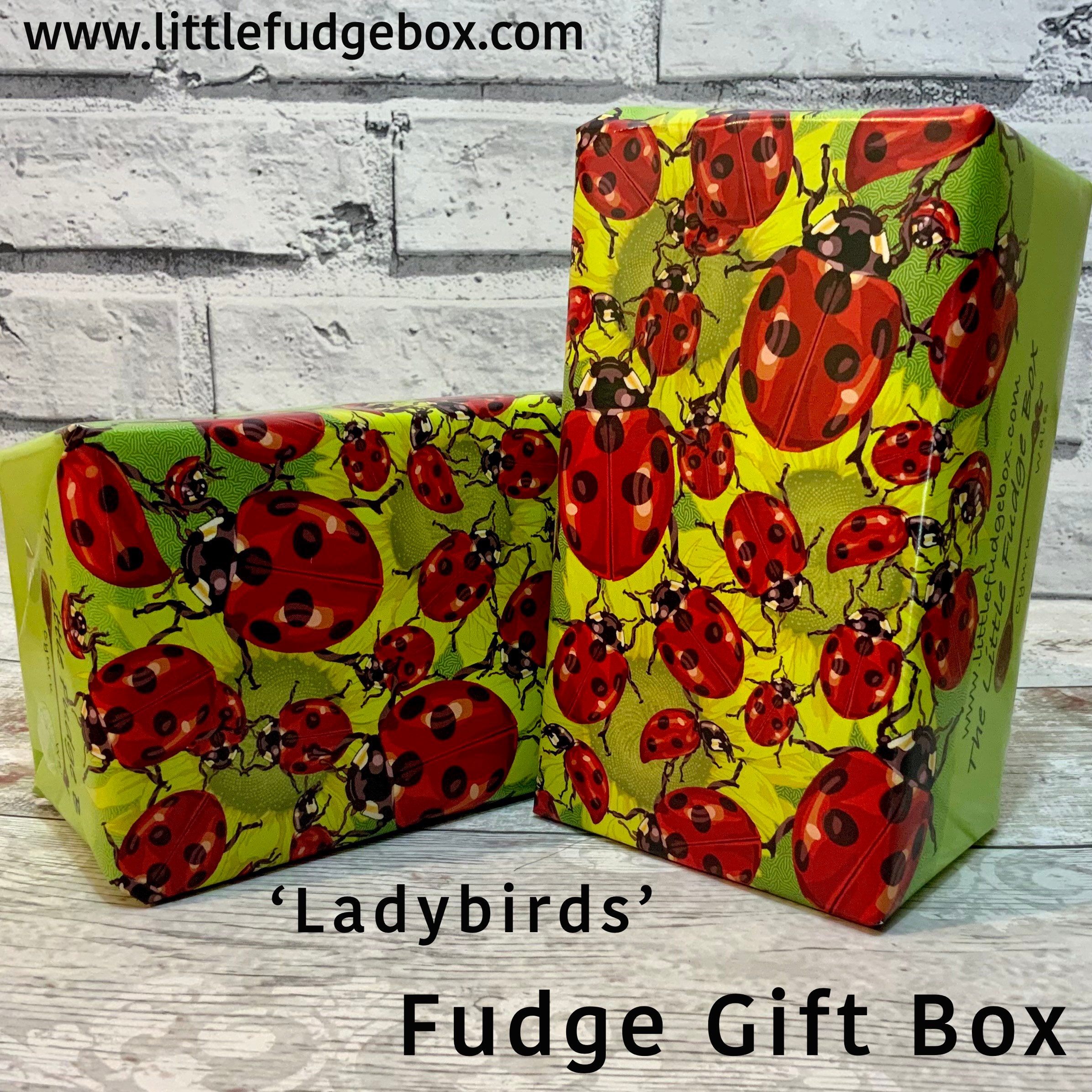 Fudge Gift Box ladybirds Personalised 5 Flavours Handmade - Etsy Canada