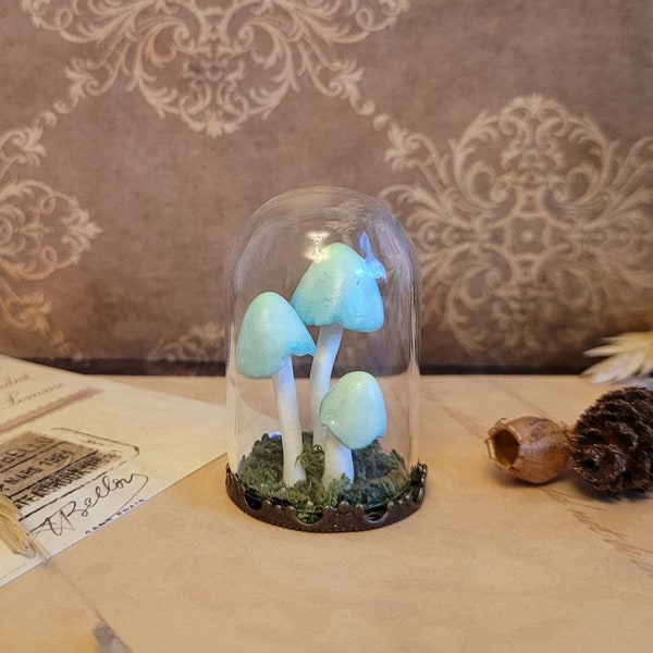 Glass Display Case - Etsy UK