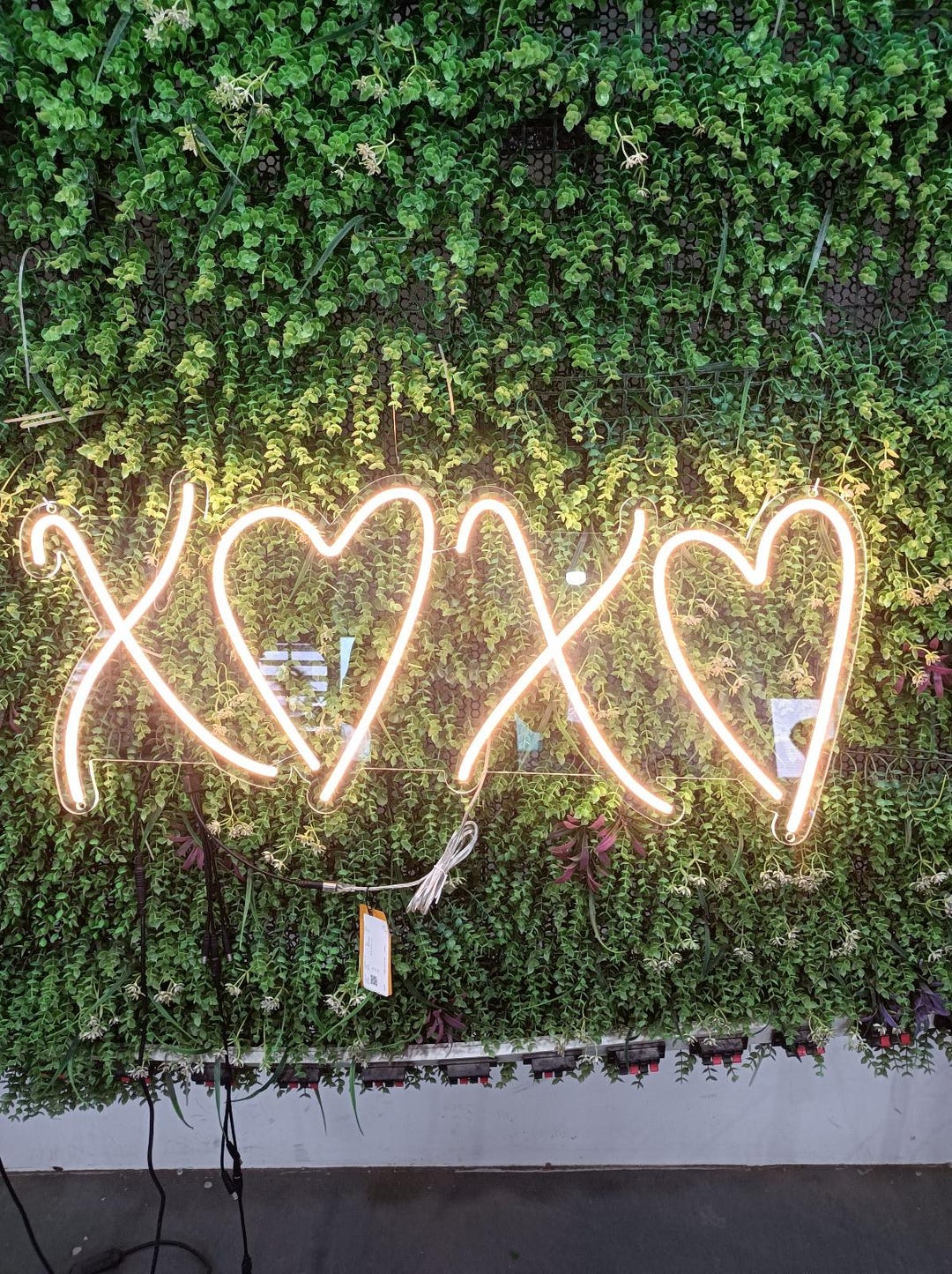 XOXO - LED Neon Sign, Wall Decor, Wall Sign, Neon Lights - Etsy