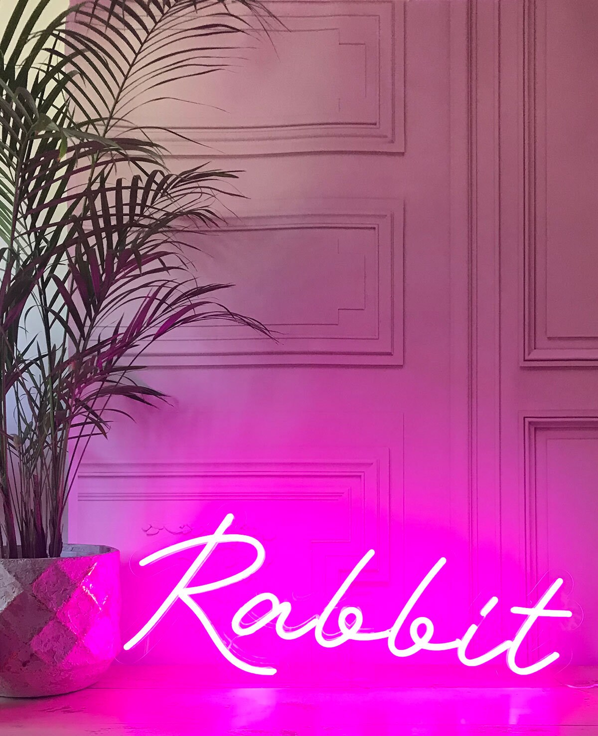 Custom Neon Sign | LED Neon Lights Name Kids Name Family Name Pet Name ...