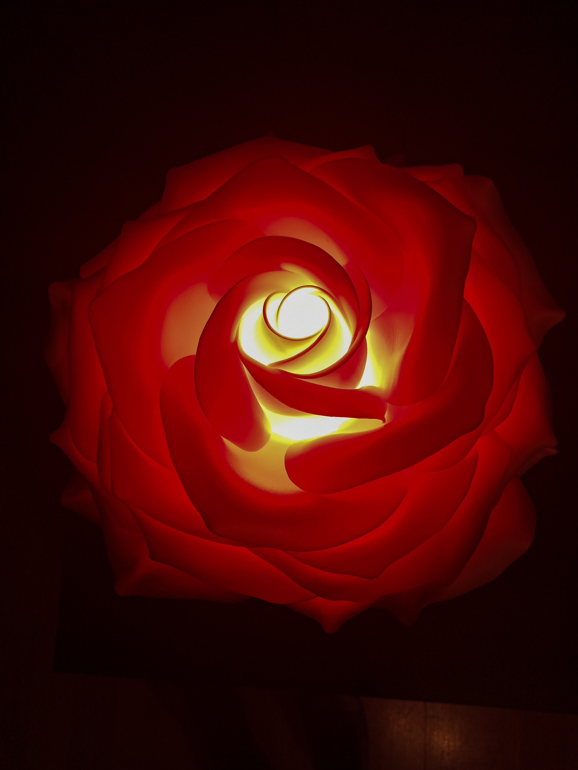 Pink Rose Flower Lamp - Beige Floral Night Light - Etsy