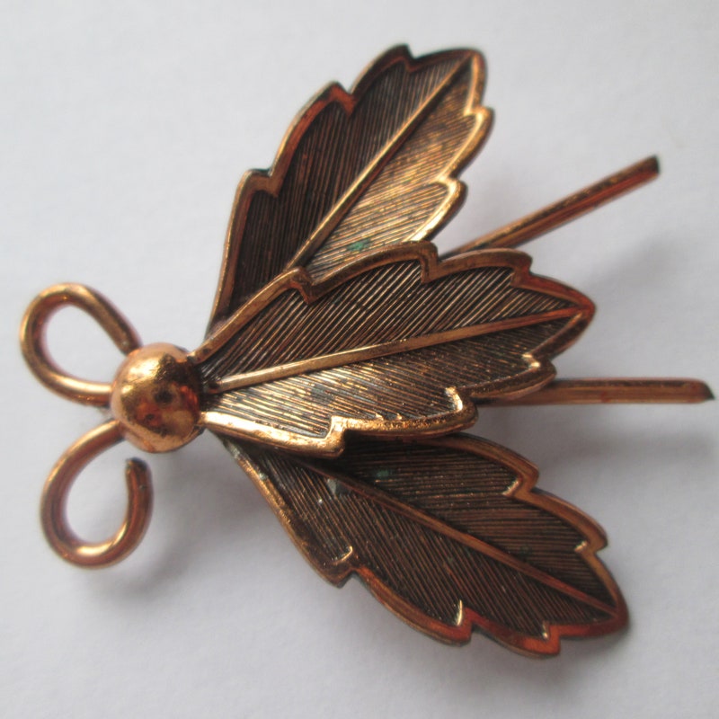 Bug Brooches - Etsy