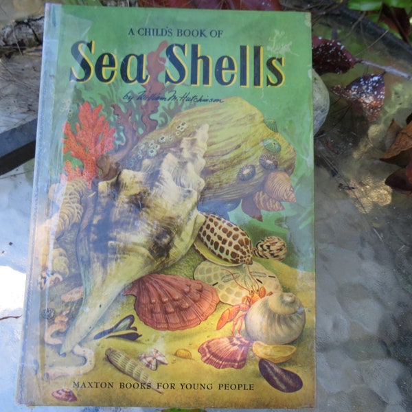 Sea Shells Books - Etsy