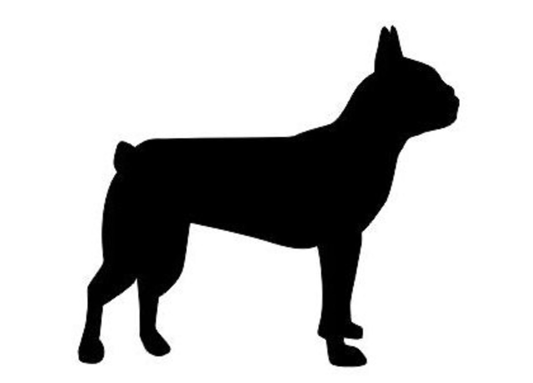 Boston Terrier Silhouette Outline Clip-art, SVG, PDF, AI, Jpeg - Etsy