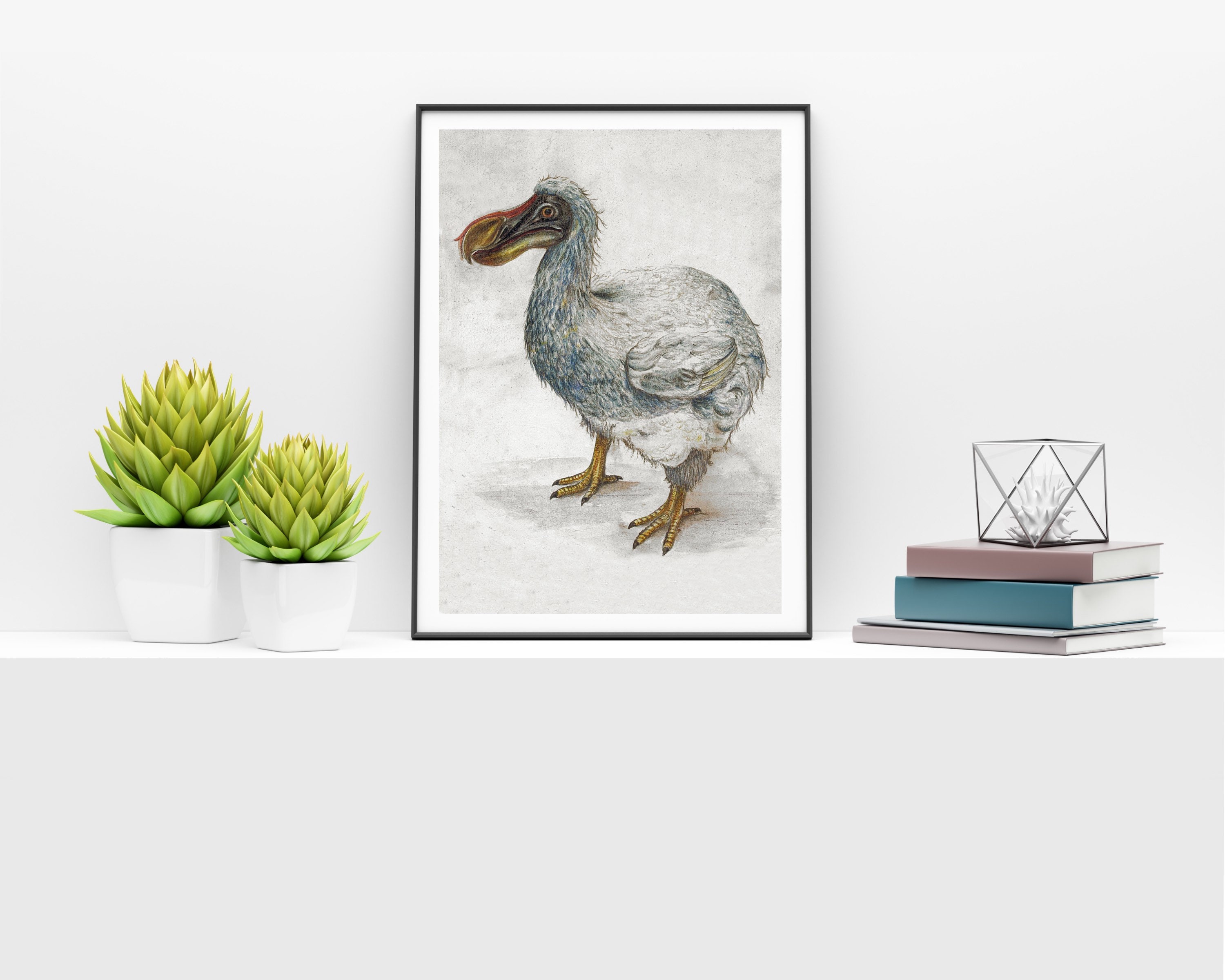 The Dodo Bird Vintage Print Illustration Wall Art Vintage | Etsy