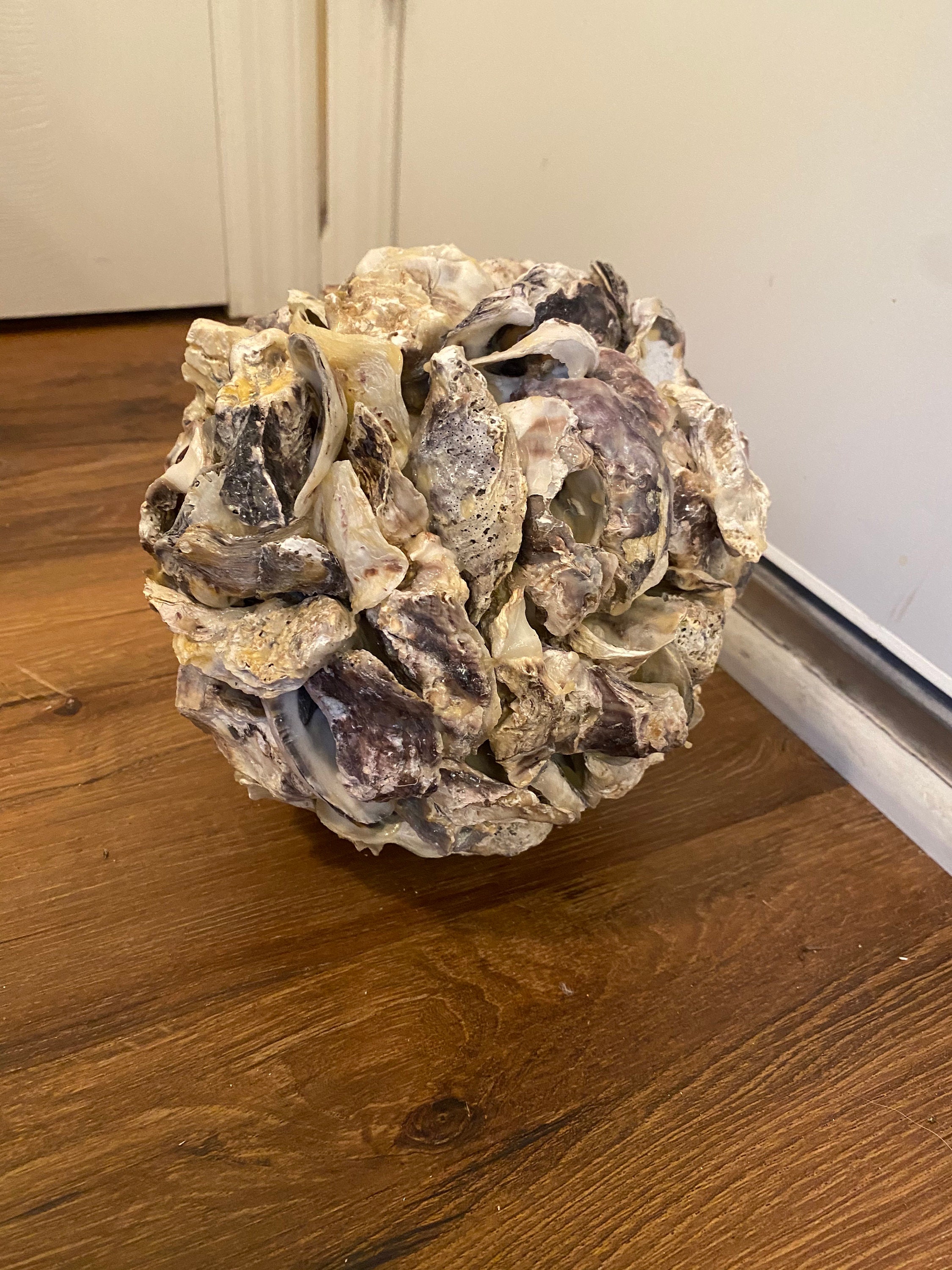 Large Oyster Shell Orb, 7 Inches in Diameter - Etsy