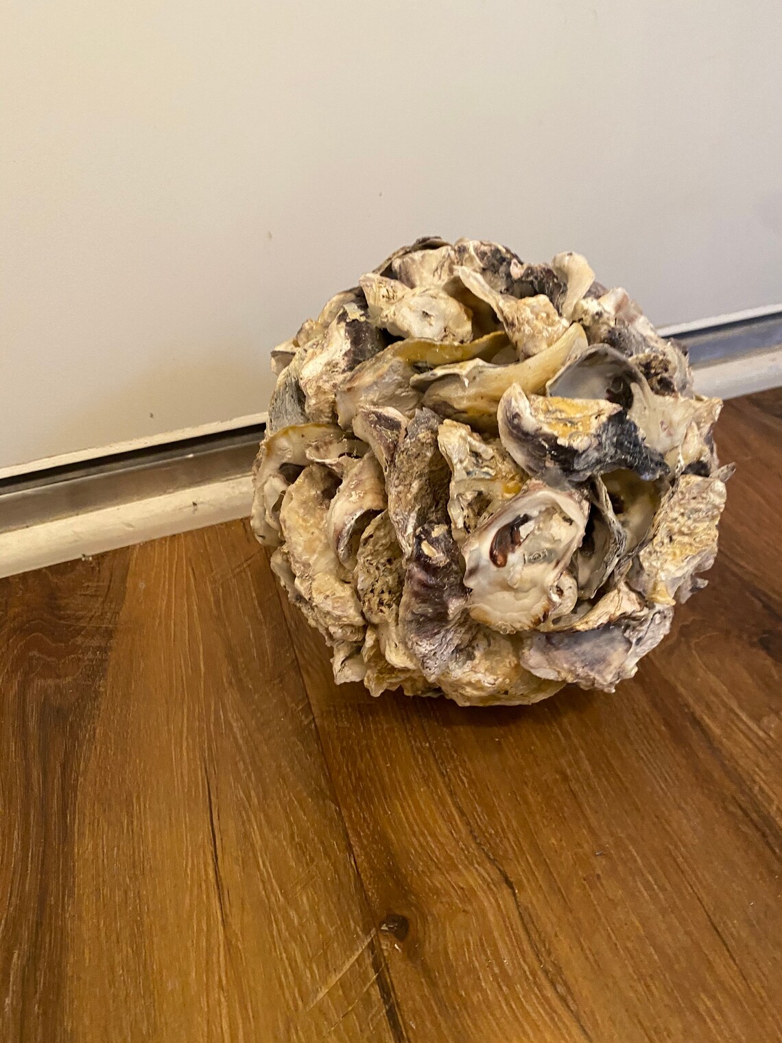 Large Oyster Shell Orb, 7 Inches in Diameter - Etsy