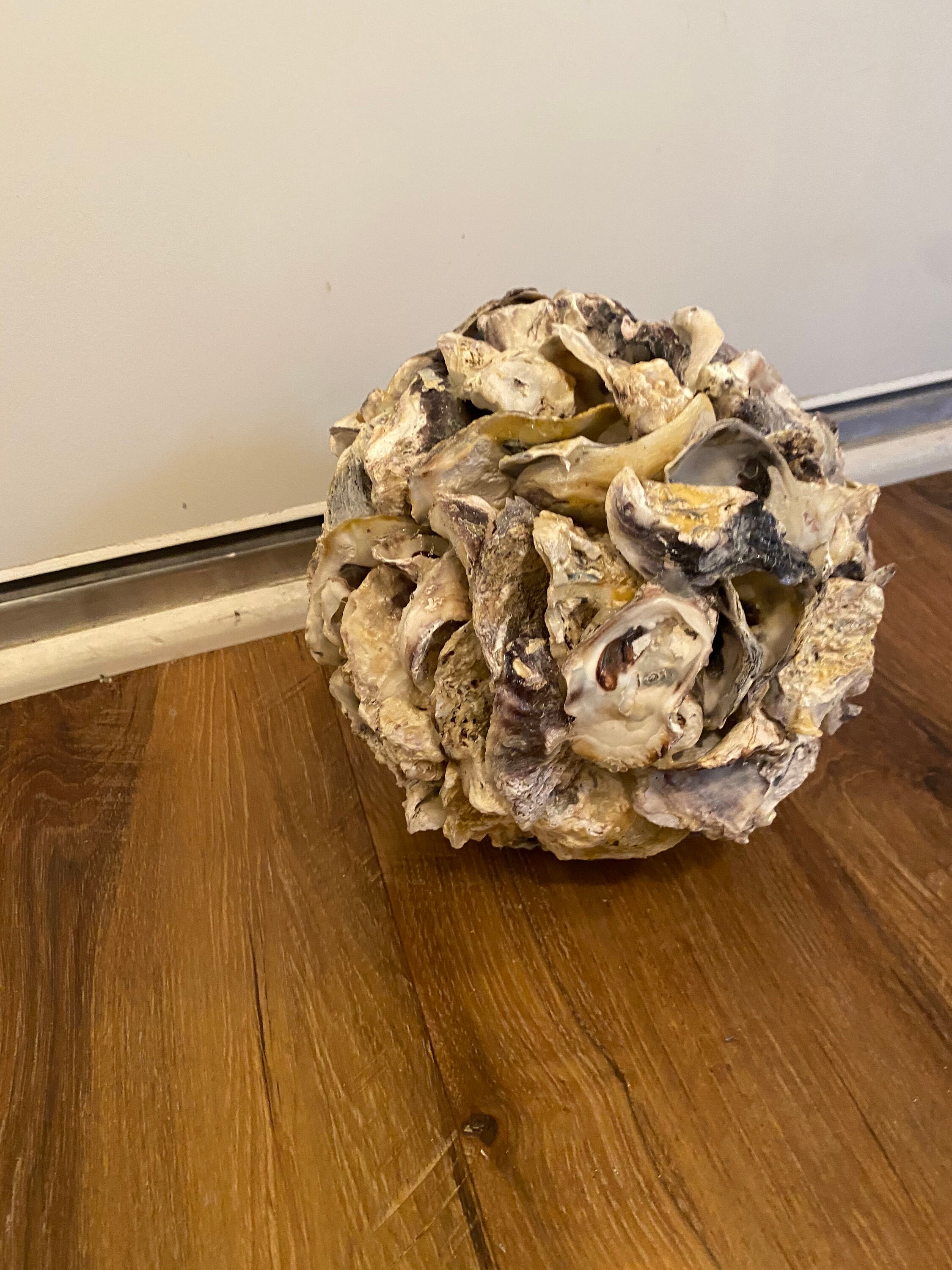 Large Oyster Shell Orb, 7 Inches in Diameter - Etsy