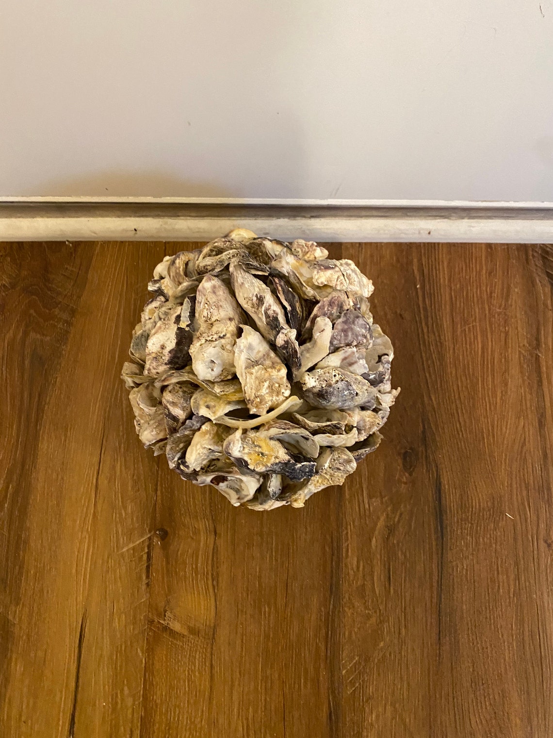 Large Oyster Shell Orb, 7 Inches in Diameter - Etsy
