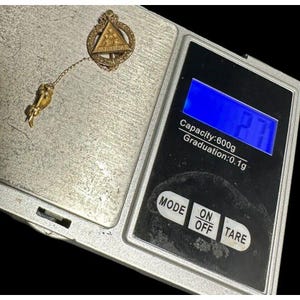 Vintage 10k IYOB FILIAE Job’s Daughters Pin Cornucopia - Etsy