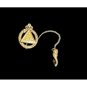 Vintage 10k IYOB FILIAE Job’s Daughters Pin Cornucopia - Etsy