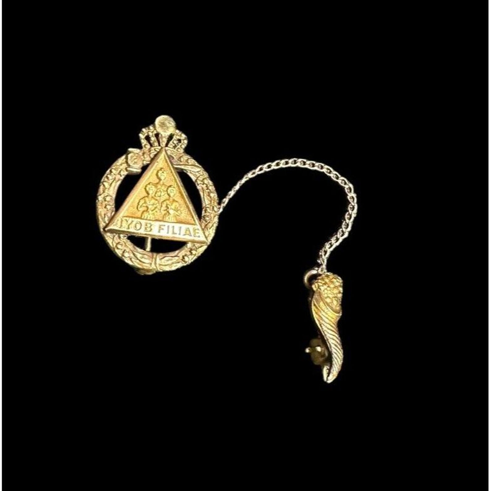 Vintage 10k IYOB FILIAE Job’s Daughters Pin Cornucopia - Etsy