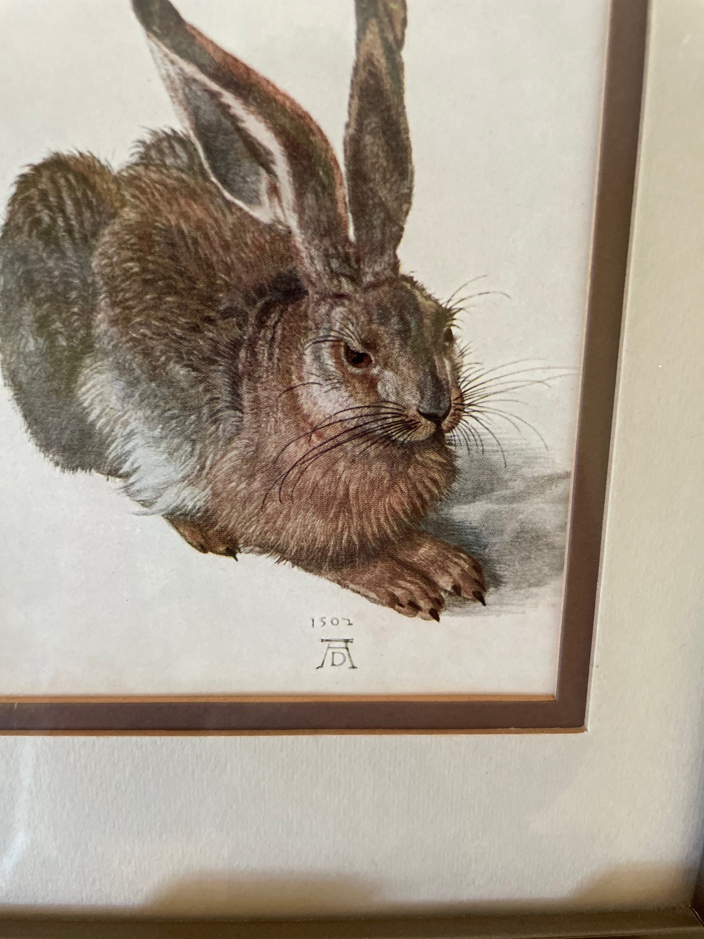 Vintage Albrecht Durer young Hare Fine Art Watercolor Replica Rabbit ...