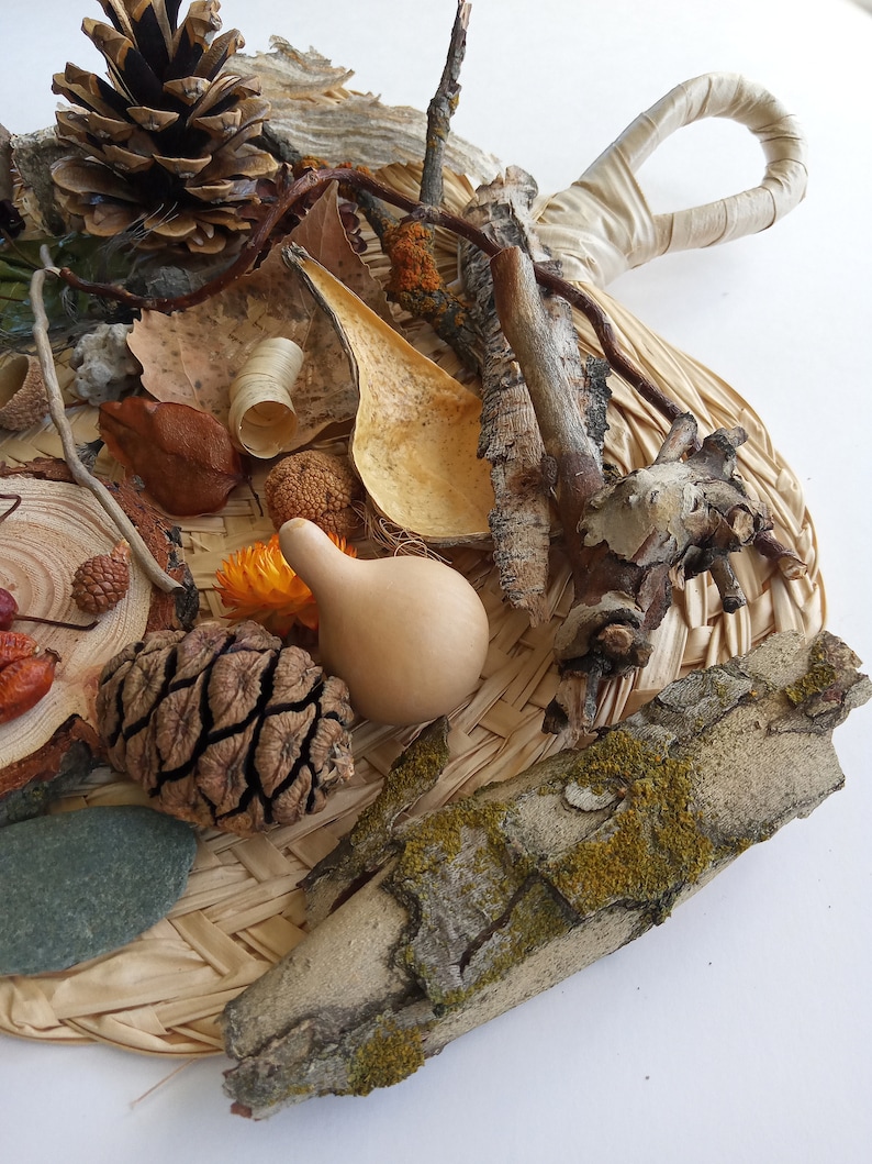 Nature Finds, Unique Items, Crafts, Decor, Terrarium, Art - Etsy