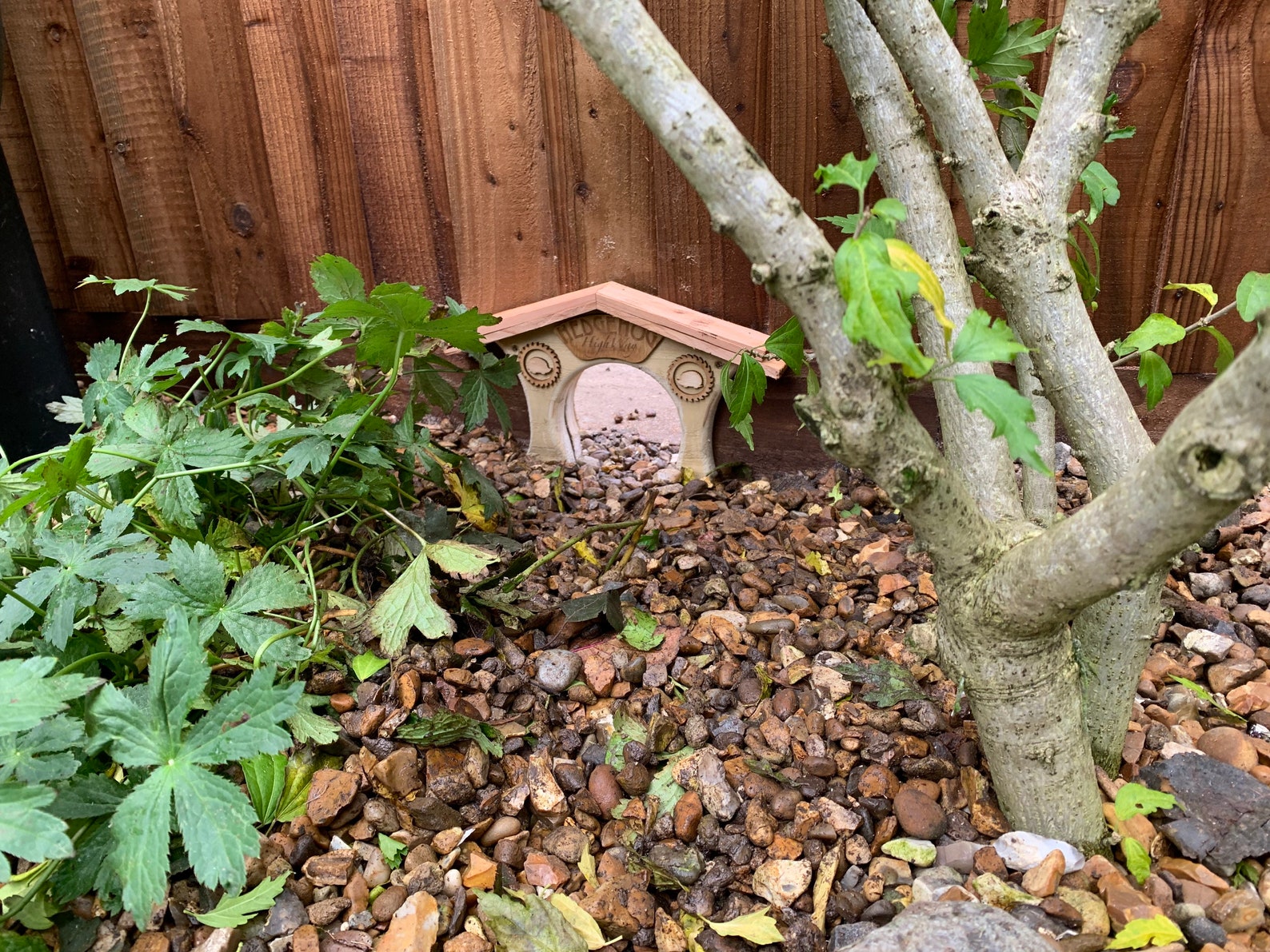 Roonacus Hedgehog Highway Door Hole - Etsy UK