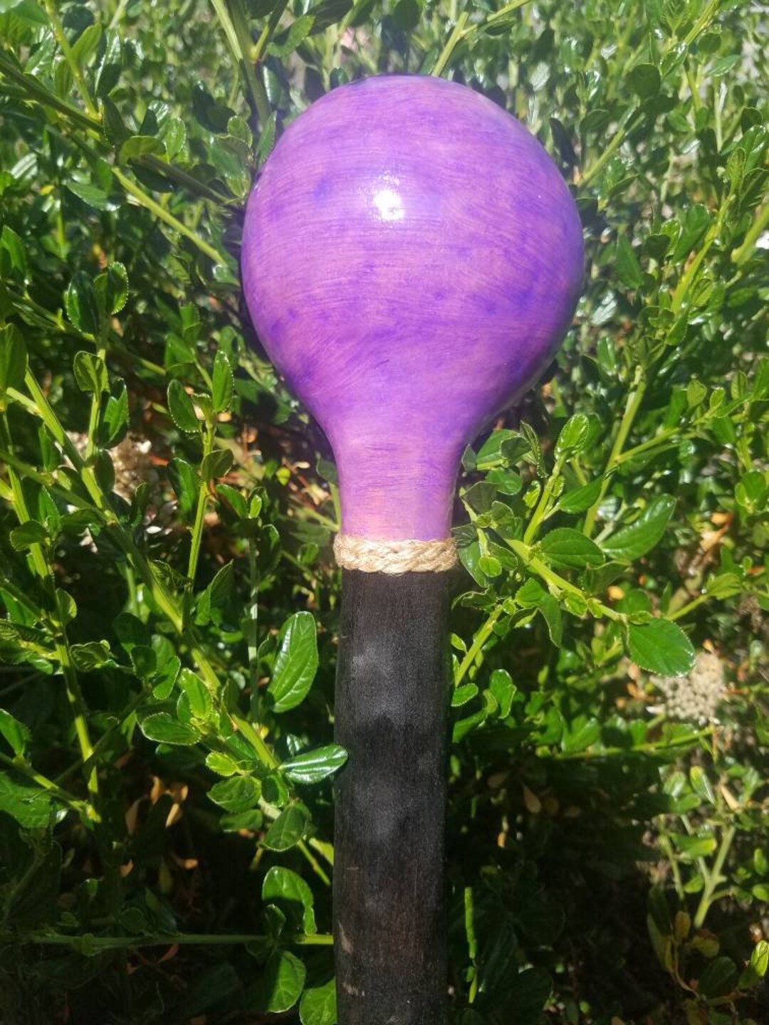 Voilet Purple Gourd Rattle chinook - Etsy