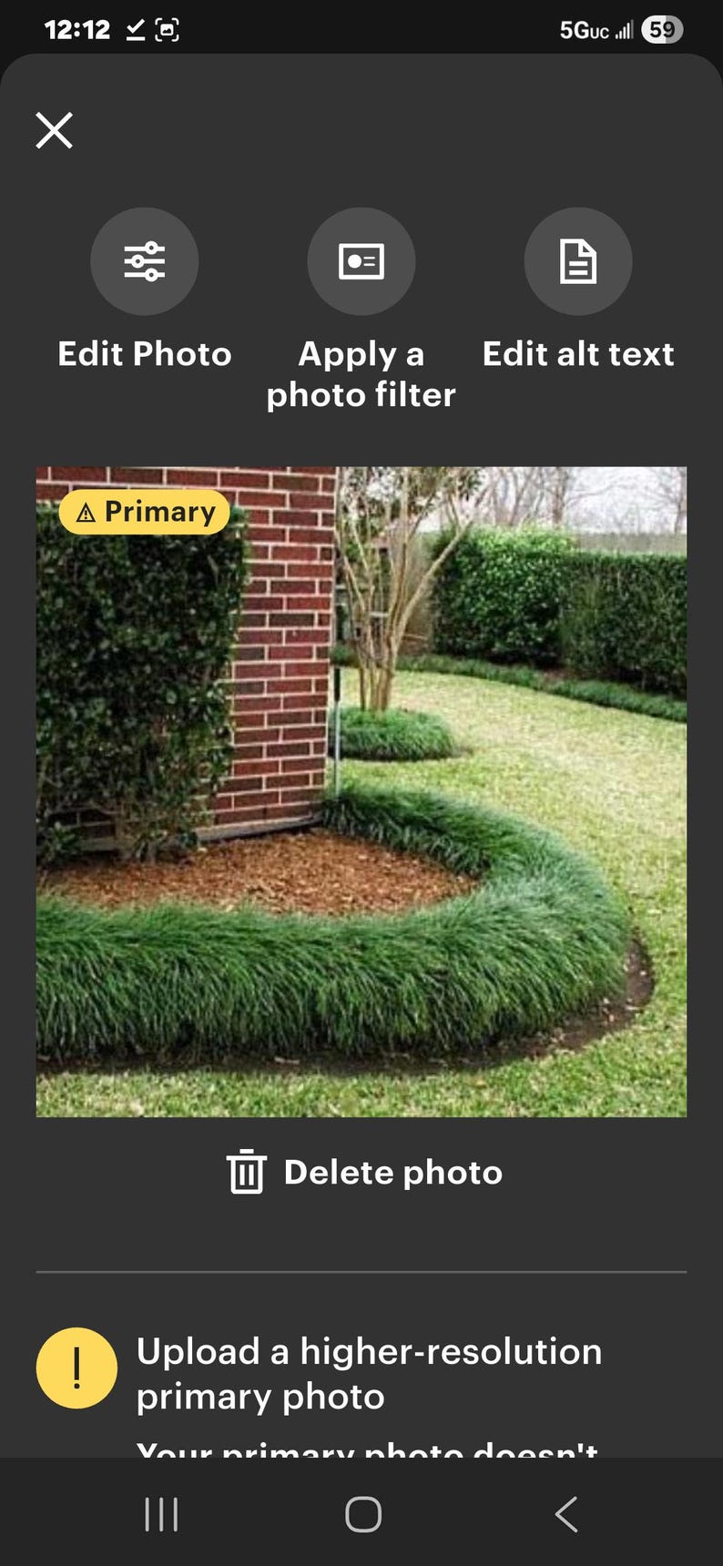Mondo Grass (50 Starter Pack) - Etsy