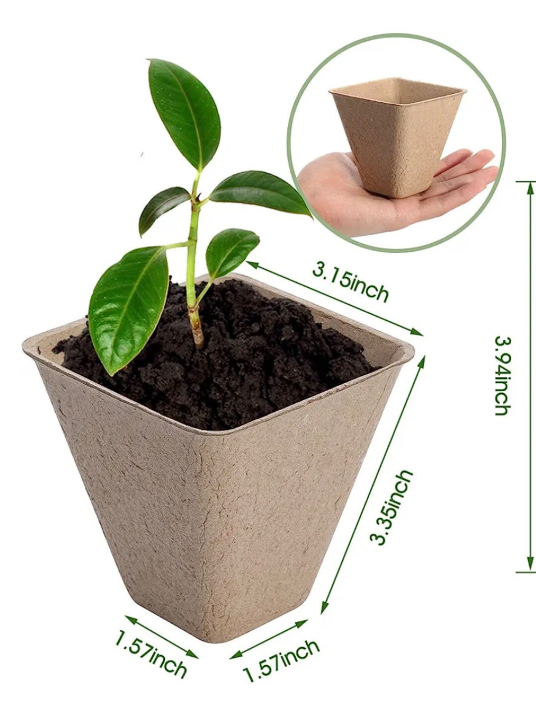 Jump Start Plant Starter Kit Includes 5 Pots, Soil, and Fertilizer - Etsy