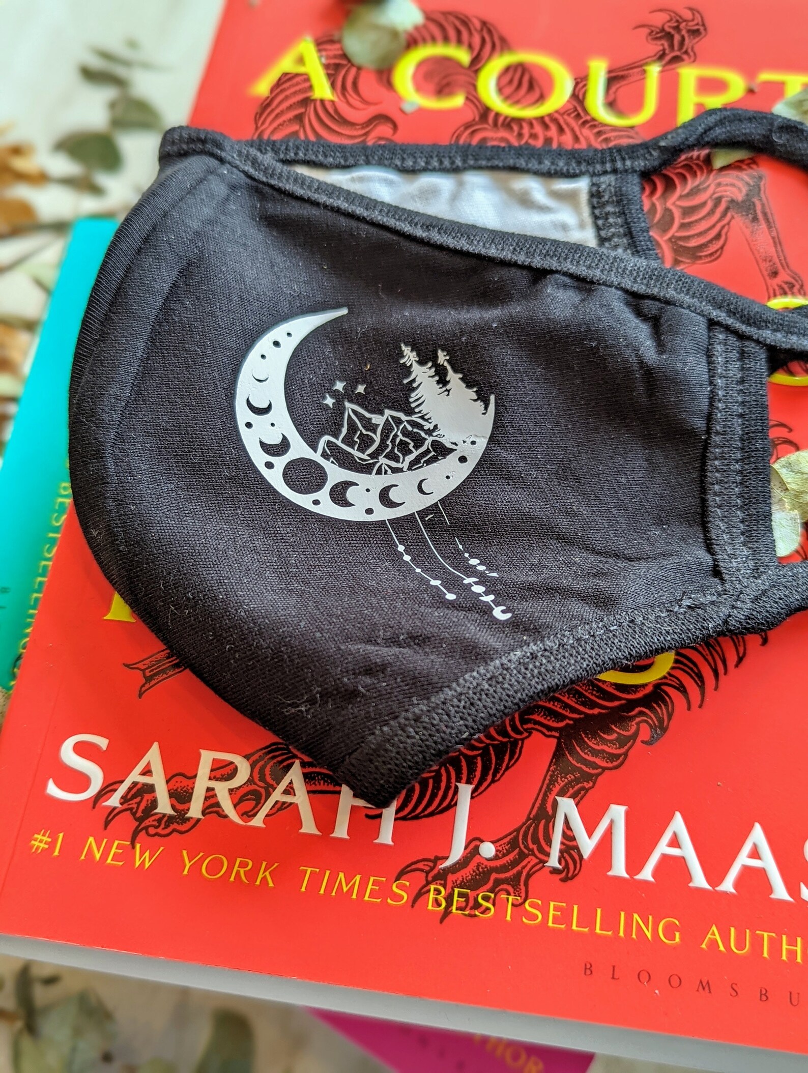 ACOTAR Face Mask A Court of Thorns and Roses Washable | Etsy