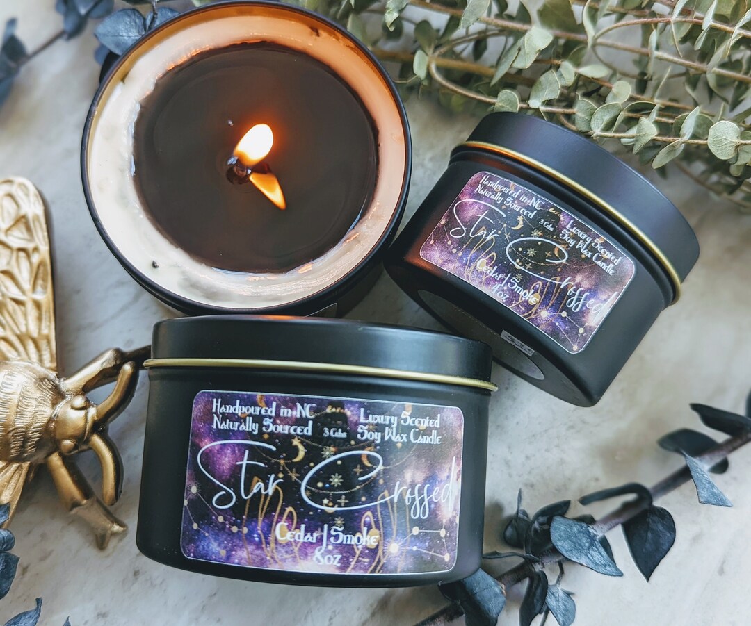 Darius Zodiac Academy Aesthetic Bookish Candles, Book Merch Best Friend ...