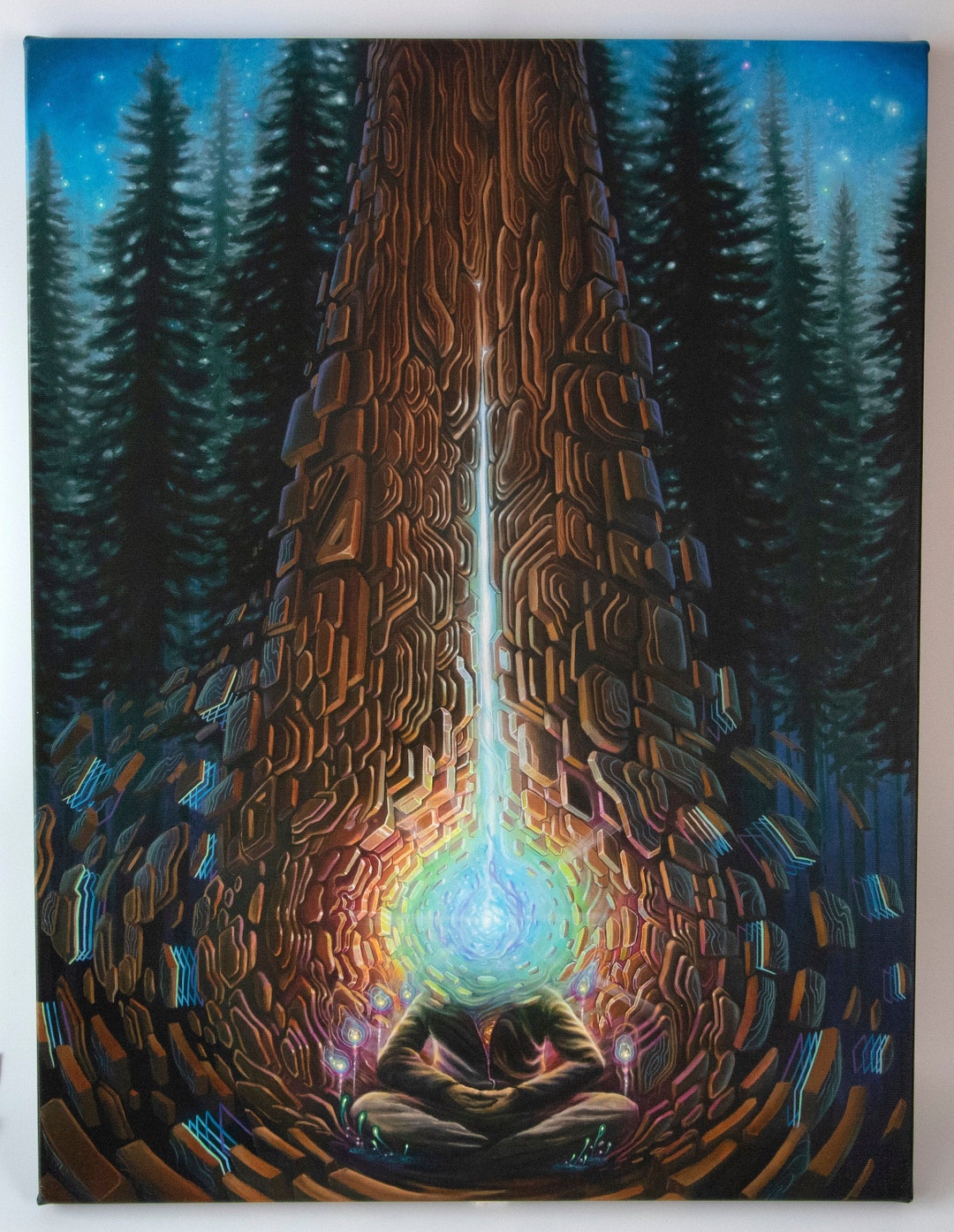 CANVAS PRINT 'closer to the Core' Giclee Print on Canvas, by Sean ...