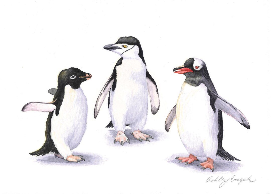 3 Little Penguins Fine Art Print - Etsy