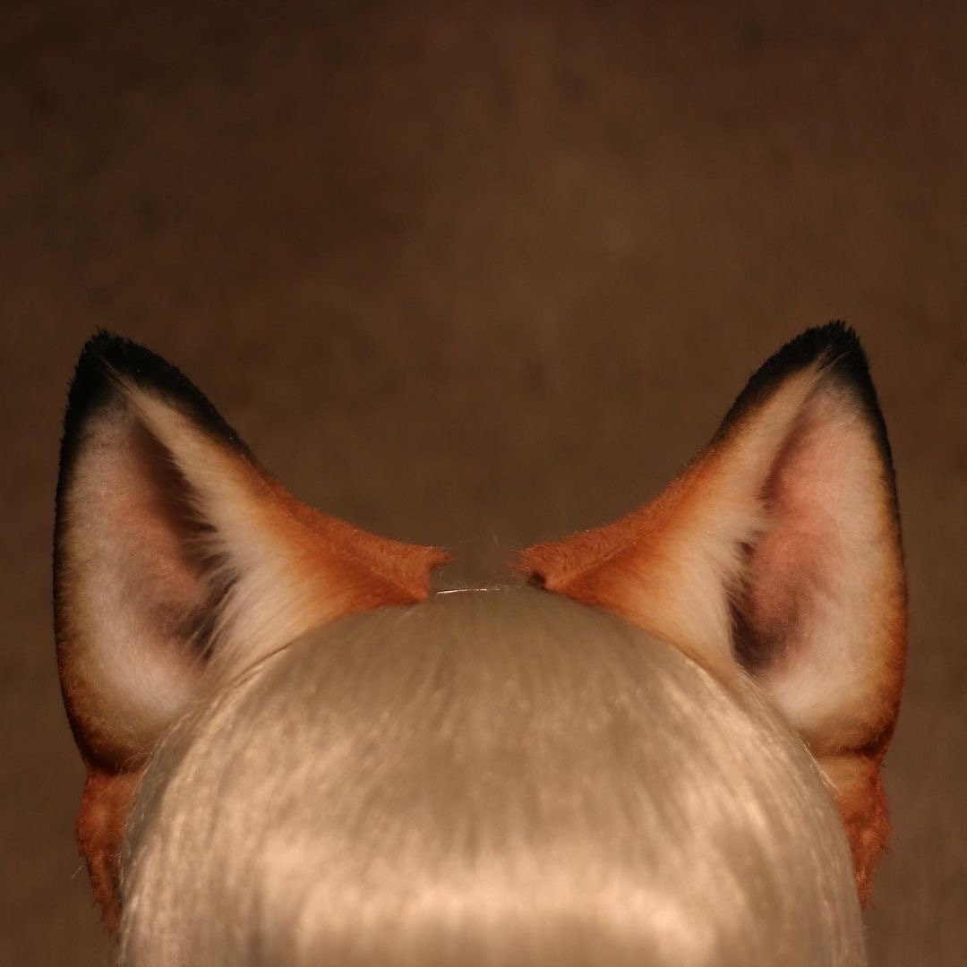 Red Fox Ears - Etsy