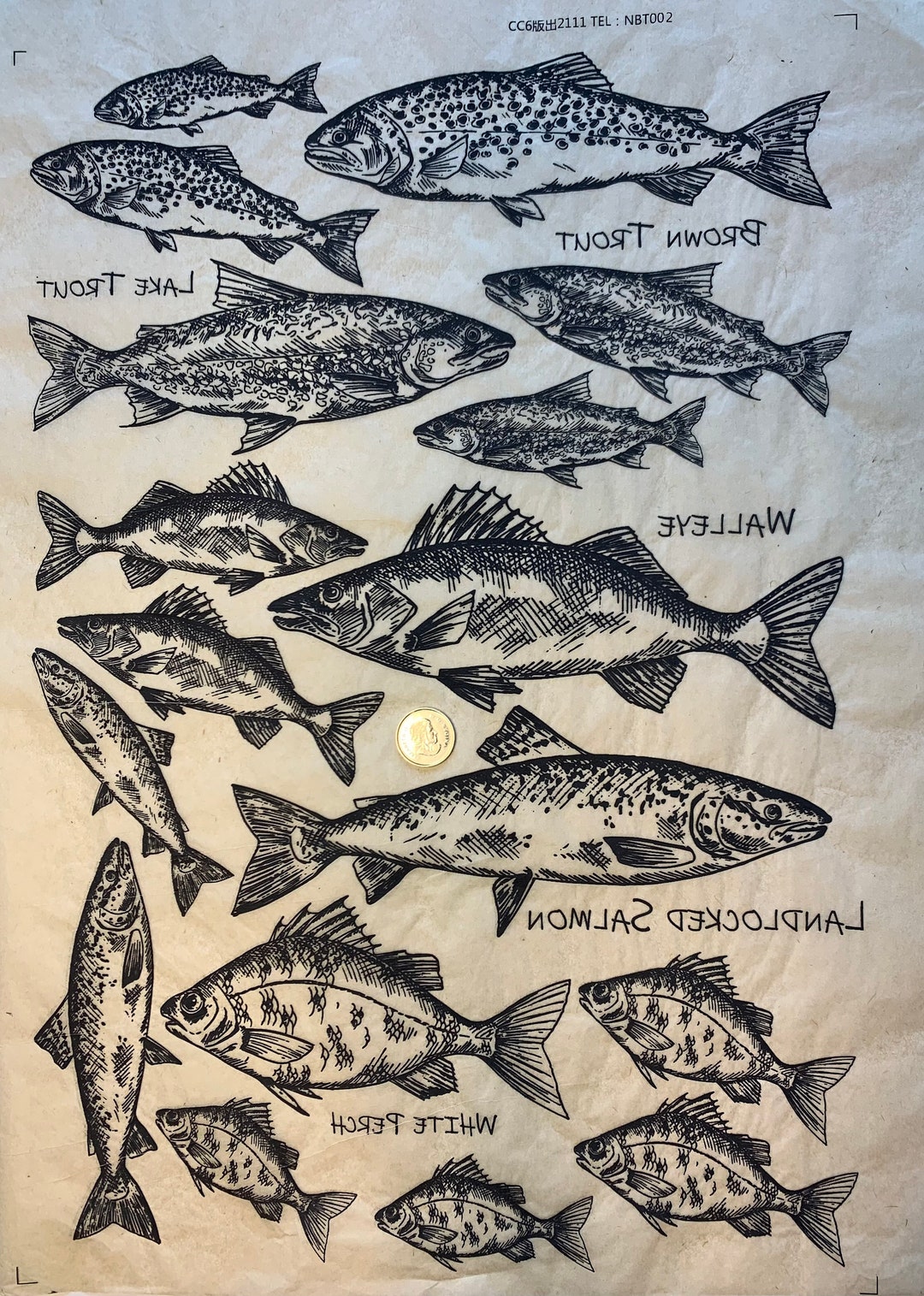 The Big Catch 1 - Etsy