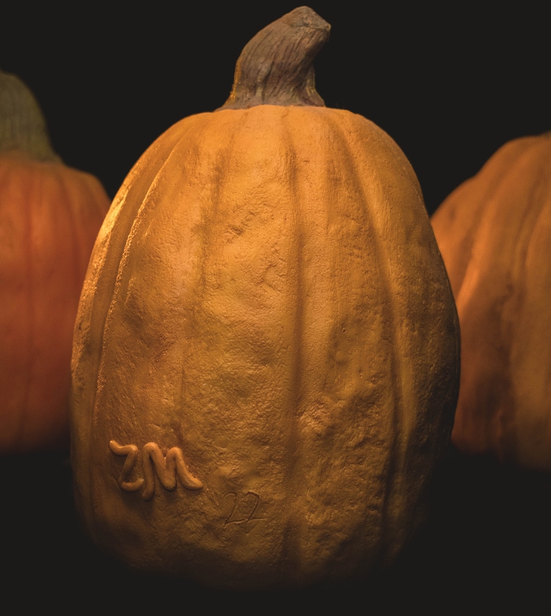 Expressive Pumpkin SAM "funkins" by Zeballos Monsters - Foam Filled ...