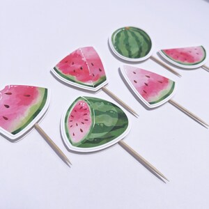 Watermelon Themed Birthday Cupcake Toppers || One in a Melon Birthday ...
