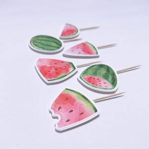 Watermelon Themed Birthday Cupcake Toppers || One in a Melon Birthday ...