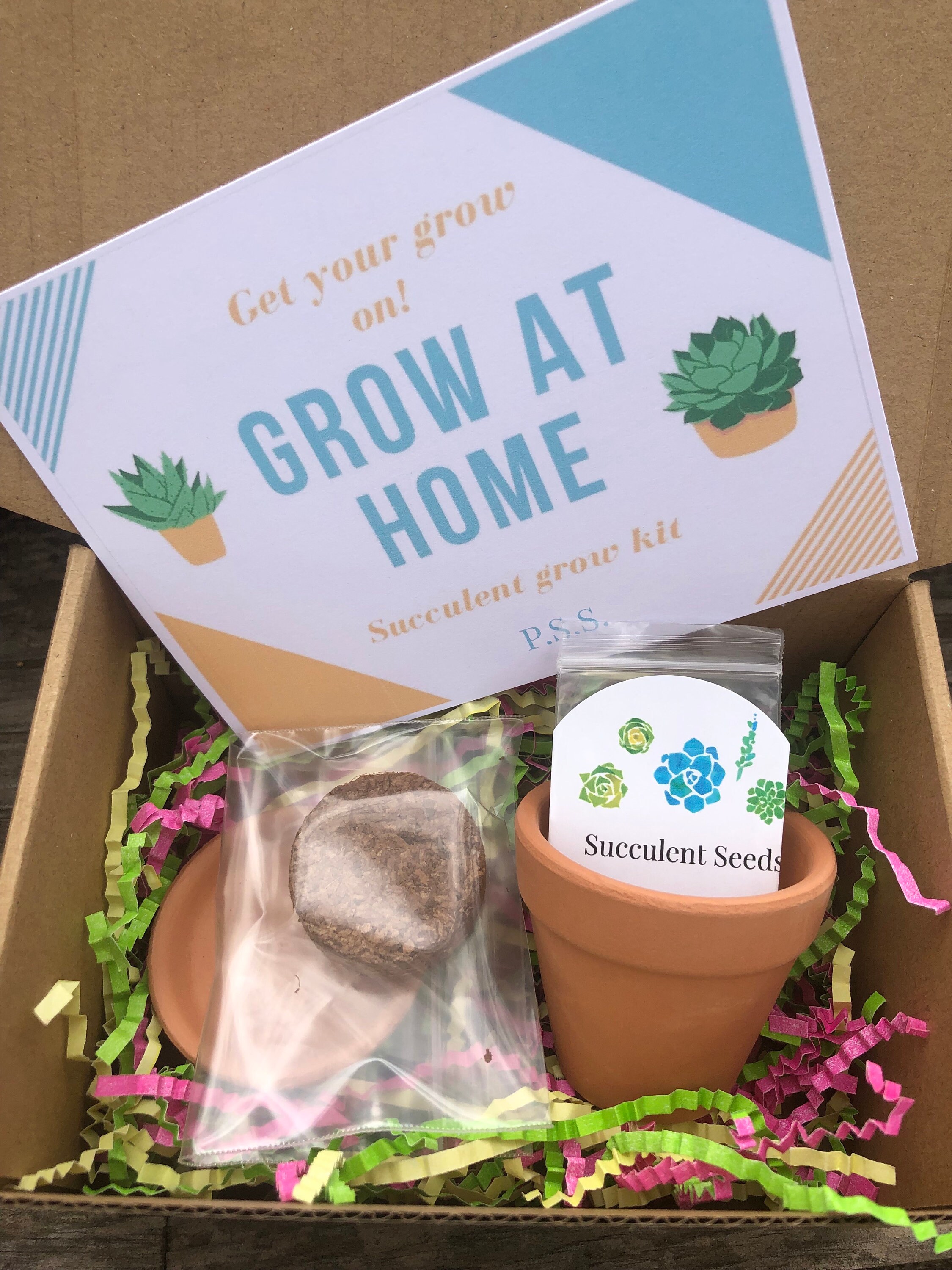 Succulent Grow at Home Starter Kit | Unique Succulent Grow Box ...