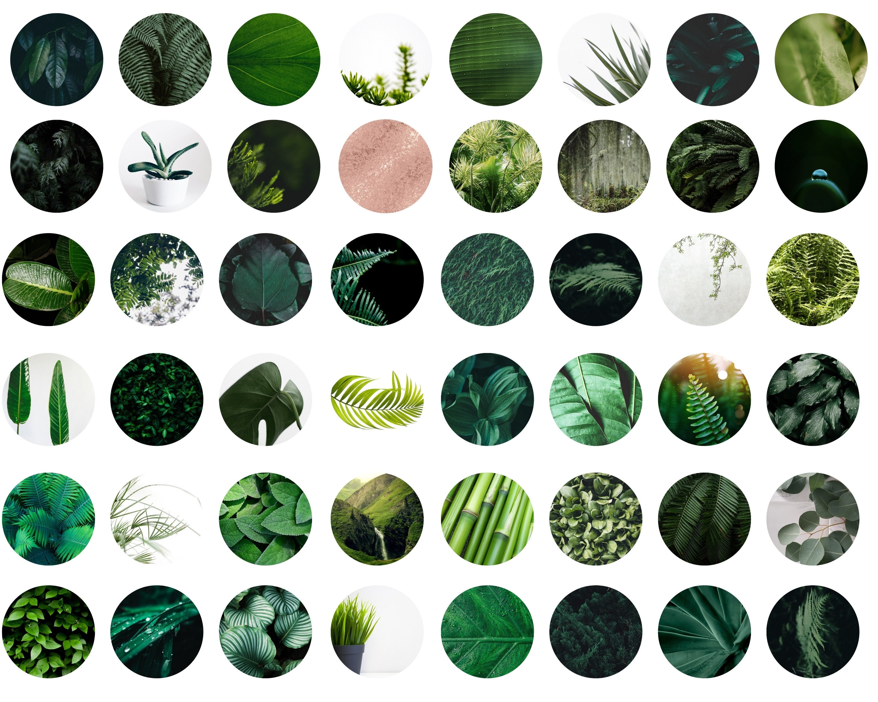 Greenery Instagram Story Highlight Icons Instagram Covers | Etsy