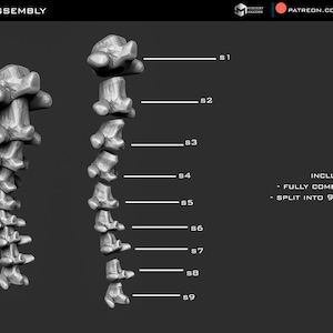 Dream Helmet ( Stl Files Digital Download Only ) - Etsy