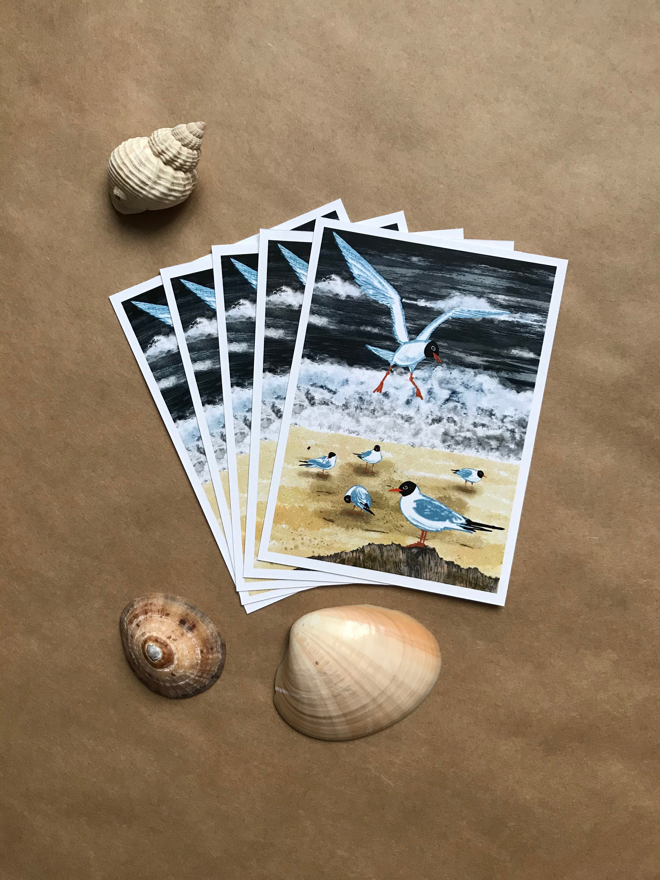 Set of 5 seagull postcards Seagulls on beach postcards | Etsy