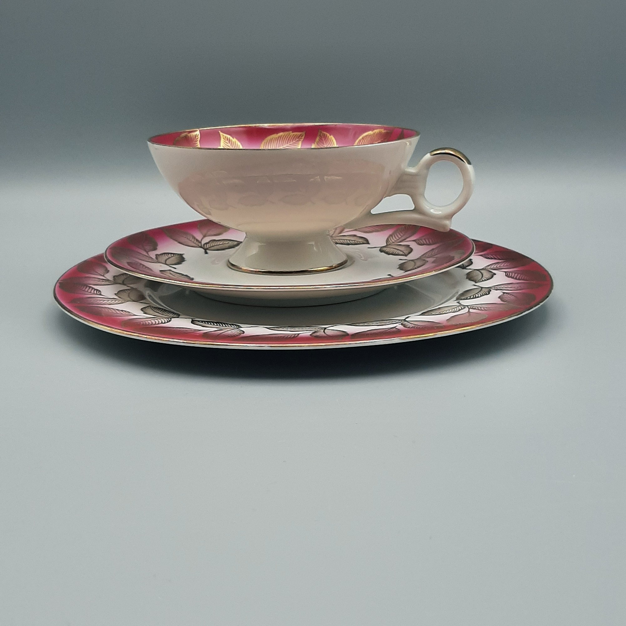Porcelain Manufactory Händel Bavaria Vintage Collector's Cup Red-pink 3 ...