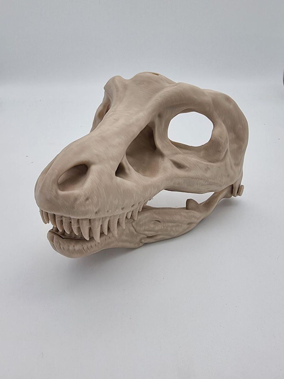 T-rex Dinosaur Skull Creature Mask, Halloween, Fancy Dress, Cosplay - Etsy