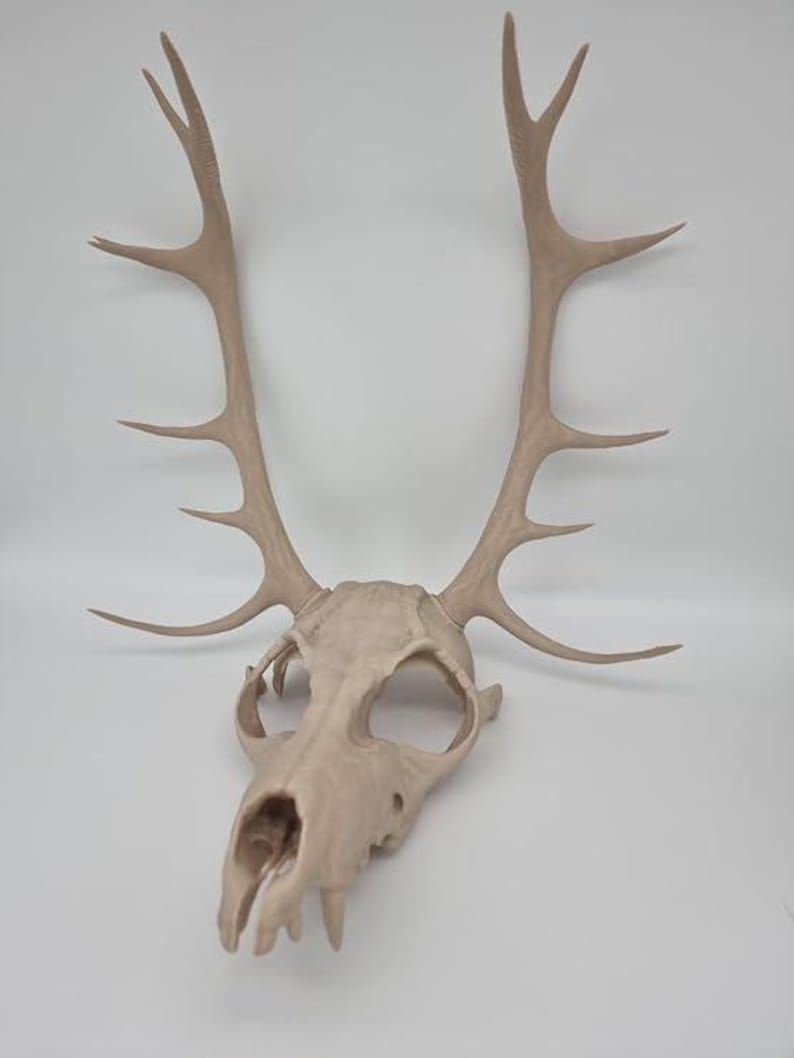 Wendigo Skull Mask With or Without Antlers - Halloween - Fancy Dress ...