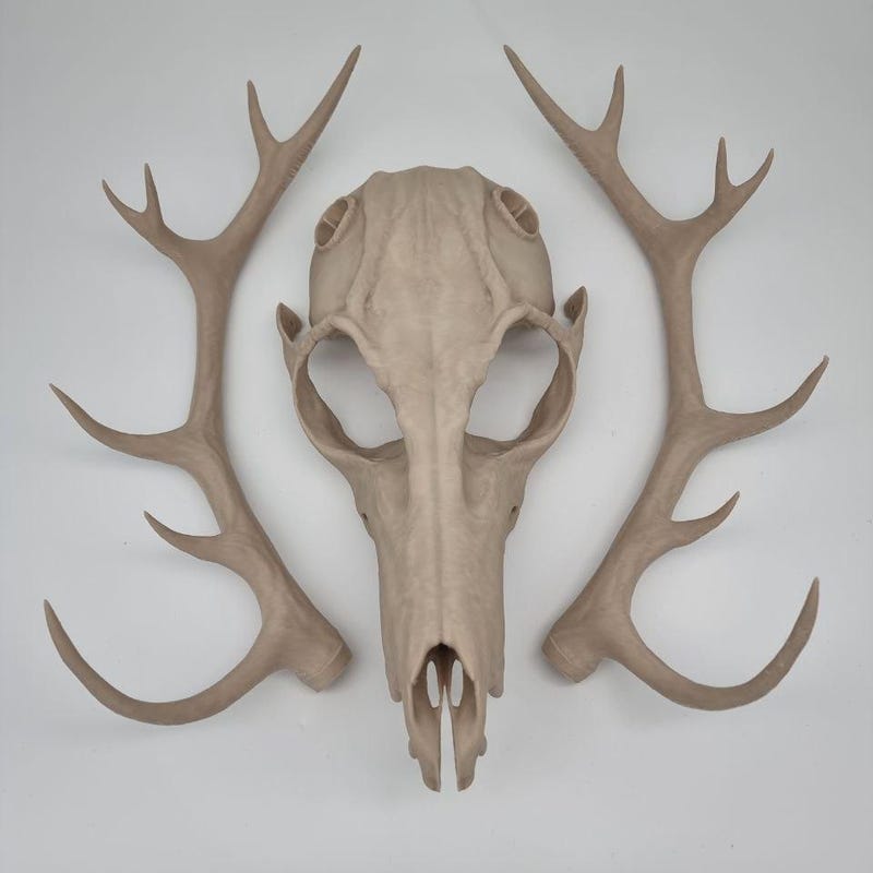 Bone Mask - Etsy