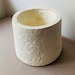Large Planter, Mycelium Planter, Sustainable Gift, Eco-friendly Product ...
